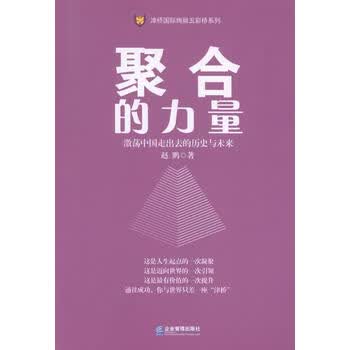 聚合的力量-游荡中国走出去的历史与未来外语学习留学教育教育组织机构工作概况北各阶段学生职场新生代图书