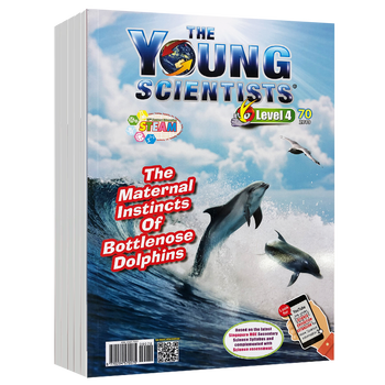 Young Scientists 小小科学家4阶 12-14岁新加坡科学漫画杂志期刊探索世界英语读物 2020年10月刊