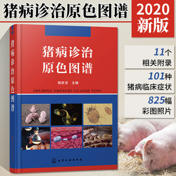 正版书籍 猪病诊治原色图谱 郎跃深编高效养猪养殖技术大全猪病诊断与防治简易快速鉴别猪病按预防治疗方