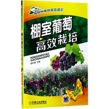 棚室葡萄高效栽培 翟秋喜 主编 书籍