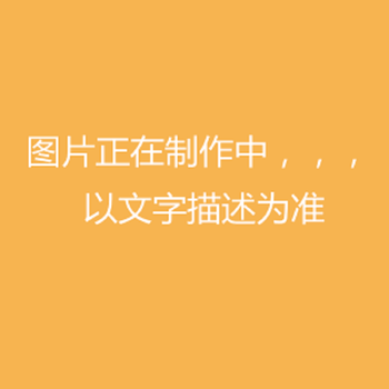 赠品勿拍！练字本/新 的地得训练大全（赠品）