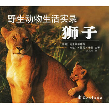 野生动物生活实录:狮子