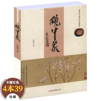 【包邮】绘画理论 镜中象