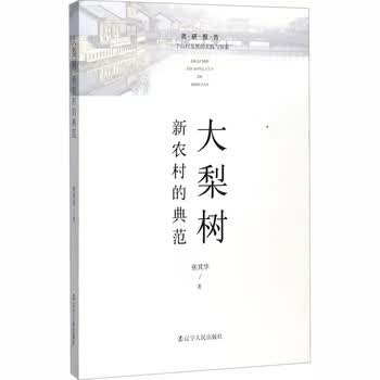 大梨树 新农村的典范 张其华  书籍