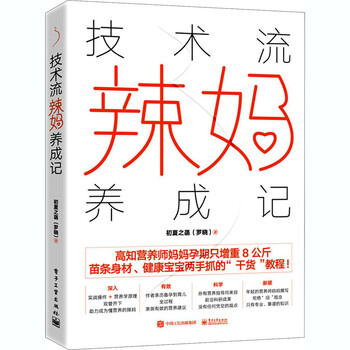 技术流辣妈养成记 初夏之菡  书籍