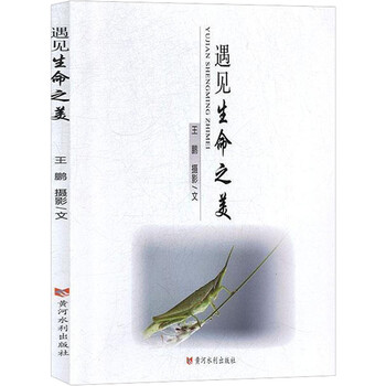 遇见生命之美 王鹏  书籍