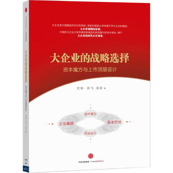 大企业的战略选择 沈翎,薛飞,彭彭   书籍
