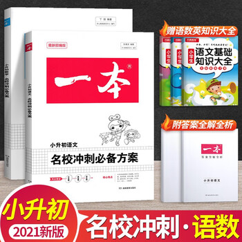开心教育一本小升初语文数学名校冲刺方案 小升初毕业升学语数英总复习小考真题 名校冲刺必备方案—语数两本套