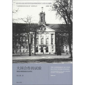 大国合作的试验