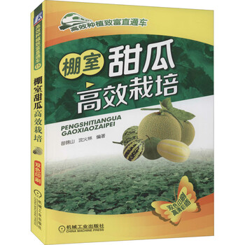 棚室甜瓜高效栽培