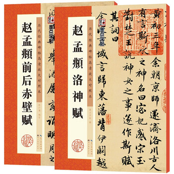墨点字帖历代经典碑帖高清放大对照本赵孟頫（京东套装2册）