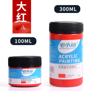 丙烯颜料防水手绘画材料diy墙绘彩绘工具24色画鞋子12色300ml白色炳稀染料不掉色儿童涂鸦丙 大红 100ml