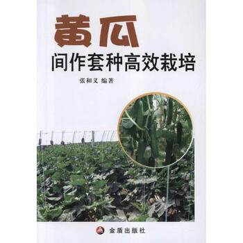 黄瓜间作套种高效栽培 张和义  书籍
