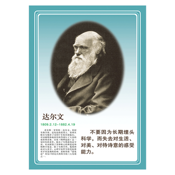 学校名人名言简介宣传画海报挂图班级教室布置标语校园文化覆膜防水贴纸OA51 OA51-02 达尔文 80*60厘米 覆膜防水PP贴纸