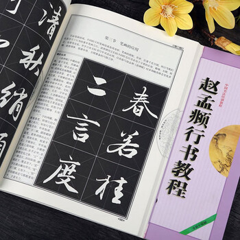 赵孟頫洛神赋 行书教程 中国书法培训教程 初学赵体行书书法毛笔字帖教材书 笔画部首结构讲解 崇文书局