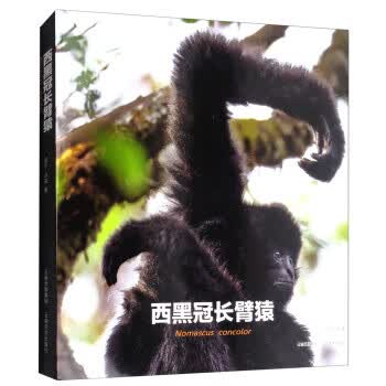 西黑冠长臂猿 润宁,山岚 云南美术出版社 9787548927839