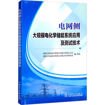 电网侧大规模电化学储能系统应用及测试技术 图书