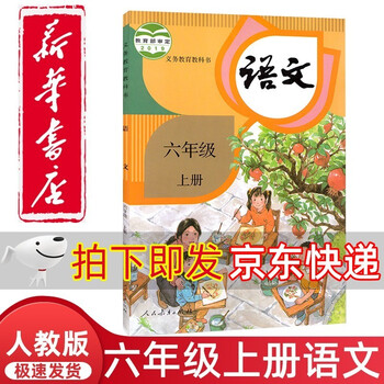 新华正版直发人教部编版小学六年级上册语文书人教版六6上语文教材教科书人民教育出版社6年级上学期语文书