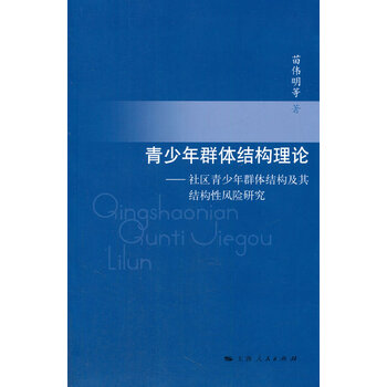 青少年群体结构理论【正版图书】