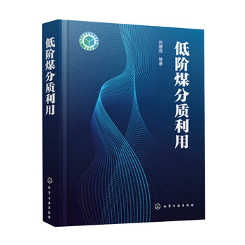 正版书籍 低阶煤分质利用煤炭清洁高效转化利用领域又一精品力作低温煤焦油热解气热解半焦分质利用技术原理煤化工清洁能源煤炭