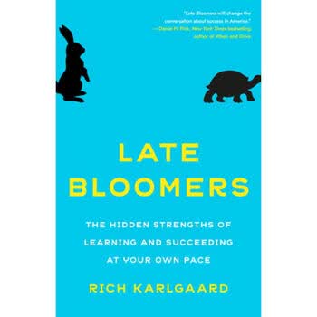 大器晚成 简装 Late Bloomers: The Hidden Strengths of ...