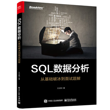 SQL数据分析 从基础破冰到面试题解 王大伟  书籍