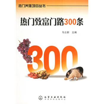 热门致富门路300条【正版图书】