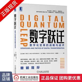 现货包邮 数字跃迁:数字化变革的战略与战术8071616
