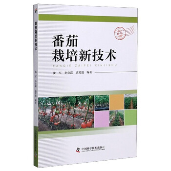 番茄栽培新技术