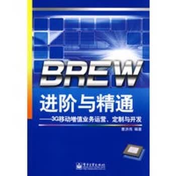 BREW进阶与精通——3G移动增值业务运营、定制与开发
