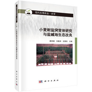 小麦耐盐突变体的研究与农业生态改良