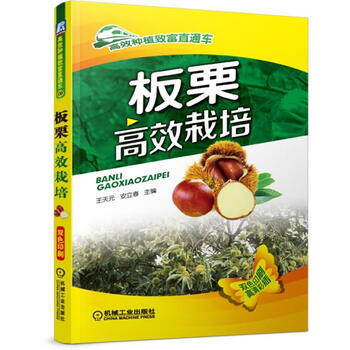 板栗高效栽培(双色印刷)/高效种植致富直通车
