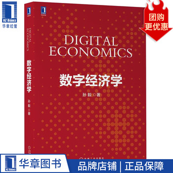 现货包邮 数字经济学 孙毅8084804