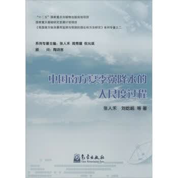 中国南方夏季强降水的大尺度过程(2)