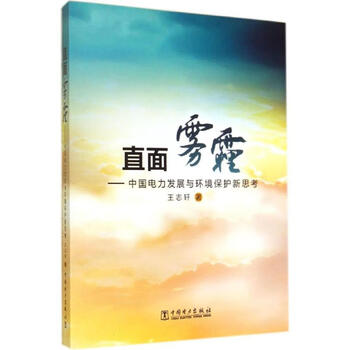 直面雾霾 王志轩  书籍
