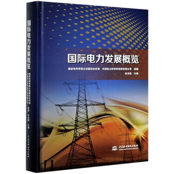 国际电力发展概览(精)