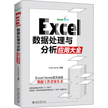 Excel数据处理与分析应用大全 图书