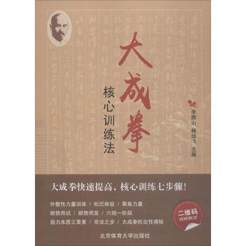 大成拳核心训练法 李照山 等 编 书籍