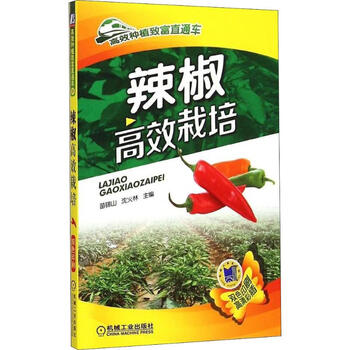 辣椒高效栽培