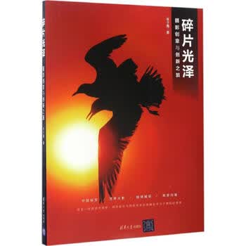 碎片光泽