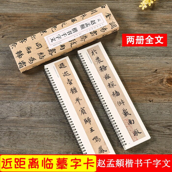 赵孟頫楷书千字文 元 经典碑帖近距离临摹字卡全文2册 赵体楷书毛笔书法字帖附简体旁注 安徽美术出版社