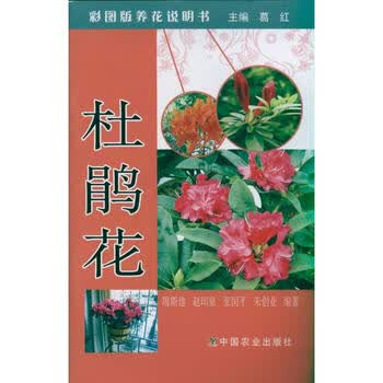 杜鹃花 彩图版养花说明书