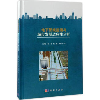 地下管线监测与城市发展适应性分析