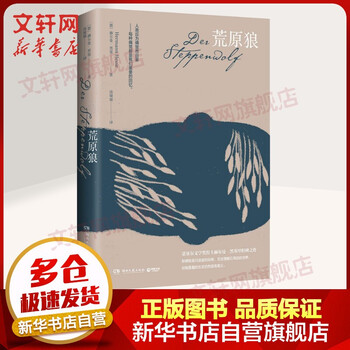 黑塞作品集 荒原狼