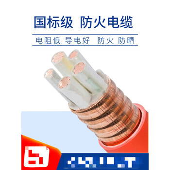 矿物绝缘防火电缆RTTYZ/BTTRZ/YTTW/RTTZ4 5芯4 610 16平方25BTTW 防火线3X2.5一米 BTTRZ【图片 价格 品牌 报价】-京东