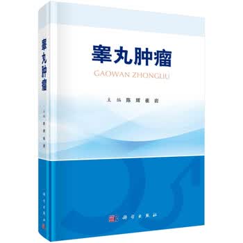 睾丸肿瘤 陈辉,崔岩
