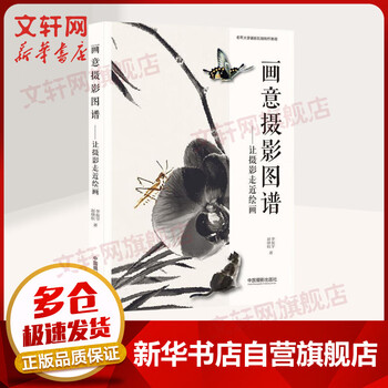 画意摄影图谱——让摄影走进绘画