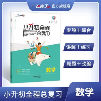 一飞冲天小升初全程总复习数学专项突破真卷演练考点预测冲刺满分