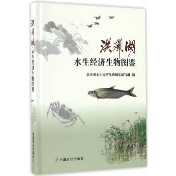 洪泽湖水生经济生物图鉴【正版图书】