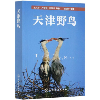 天津野鸟
